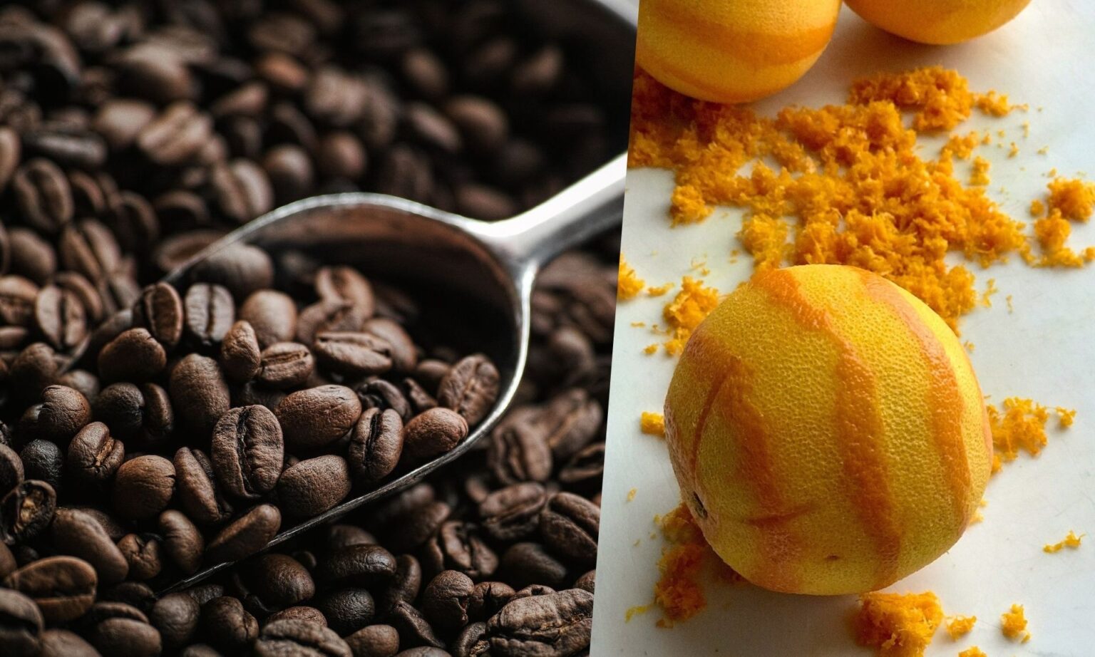 The Match Made in Heaven: Orange Zest and Coffee - Kopi Luwak